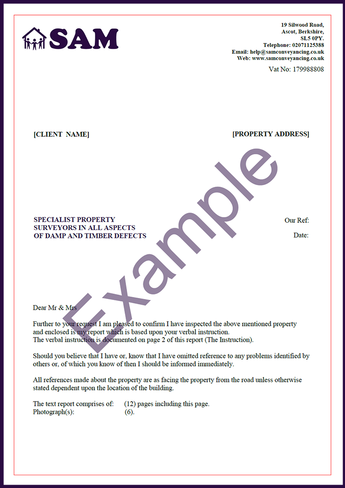 Damp and Timber Survey | SAM Conveyancing