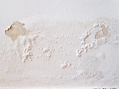 Rising Damp | SAM Conveyancing | Expert Advice