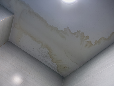 Do House Surveyors Check for Damp? | SAM Conveyancing