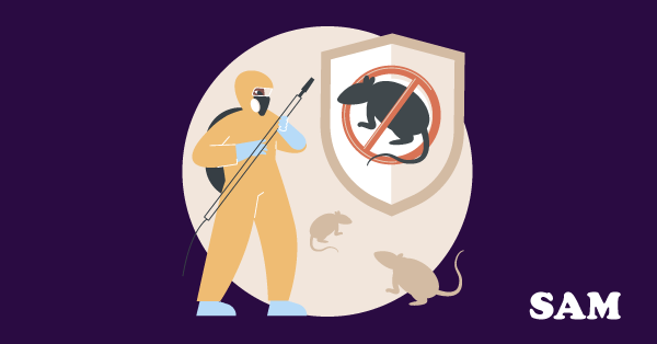 Signs of Pest Infestation | SAM Conveyancing | Expert Advice