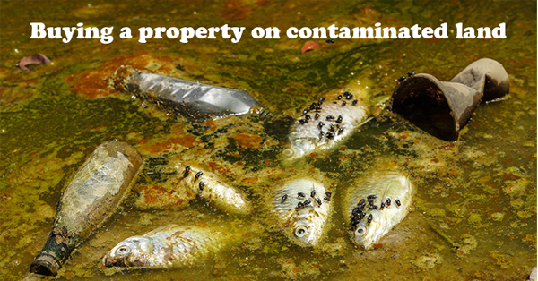 Buying a Property on Contaminated Land | SAM Conveyancing