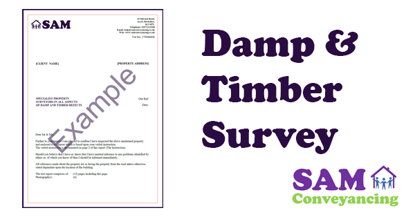 Damp and Timber Survey | SAM Conveyancing